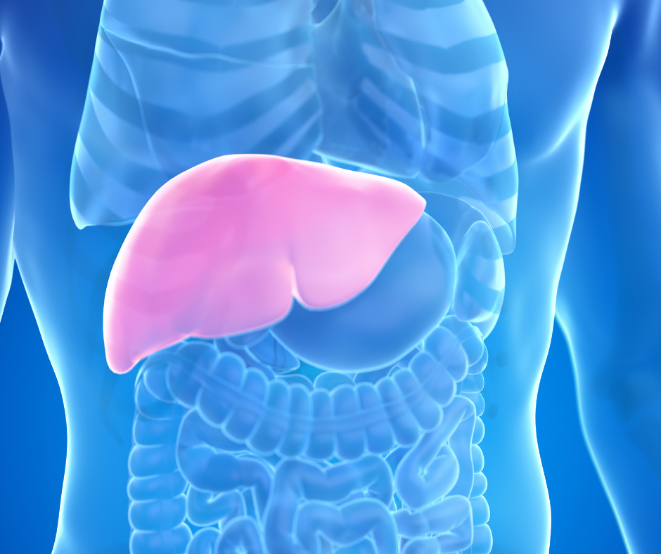 Causes and Prevention of Liver disease- You Drug Mart